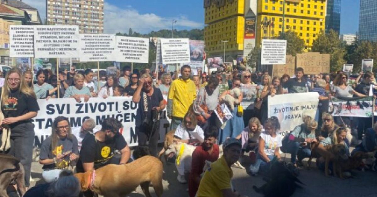 U Sarajevu protesti zbog surovo ubijenog psa Mede | Banjaluka.net ...
